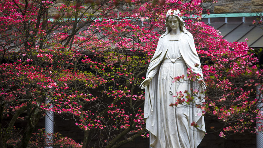 Re-consecration of the United States to Mary, Mother of the Church ...