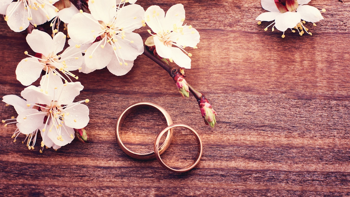 Vida Matrimonial | Diocese of Raleigh